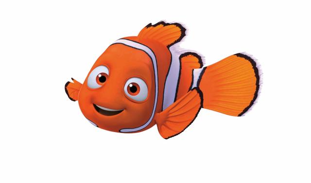 Dentiste Le Monde De Nemo Tout Ce Qu'il Faut Savoir Sur Le Film Pixar